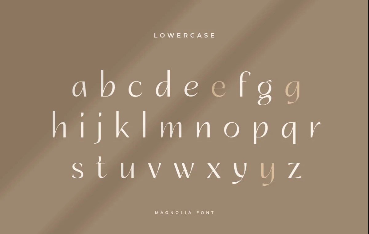 Top 25+ Ligature Fonts for Seamless Designs (Free & Premium) - Y2K FONTS